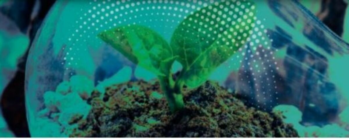 AIM2Flourish | Circular Economy in Colombia: We Recycle, Use and…