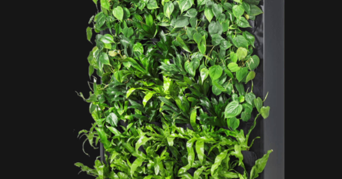 AIM2Flourish | The Creation of a More Sustainable Environment