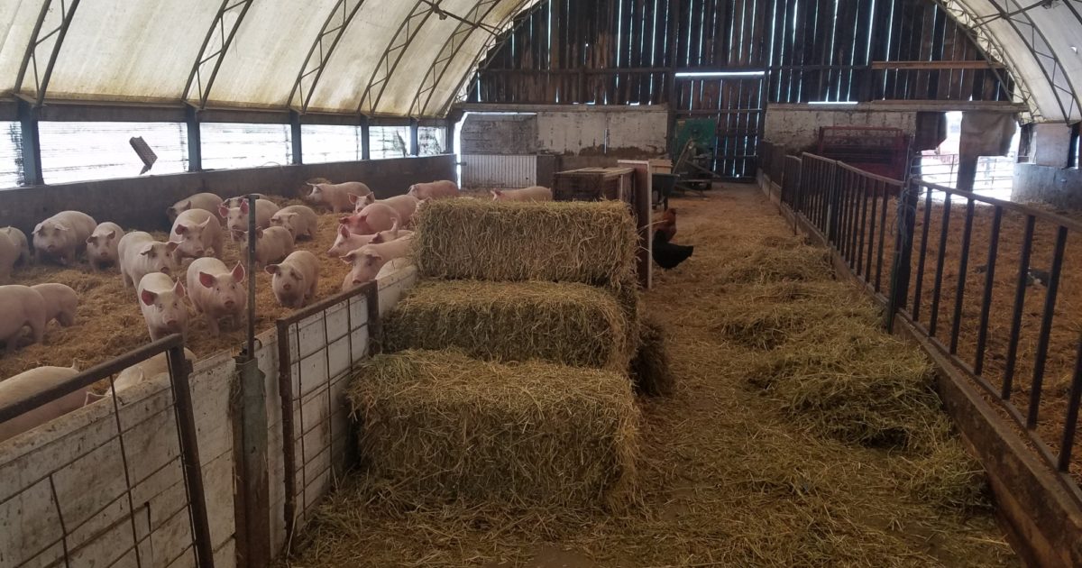 AIM2Flourish | A Glimpse Into Innovative Farming