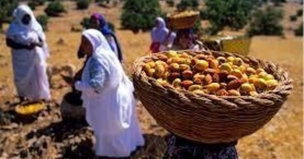 AIM2Flourish | The First Interaction with the Real Business World