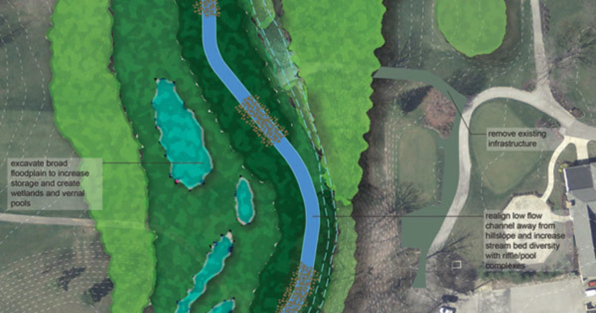 AIM2Flourish | Dragonflies on the Golf Course