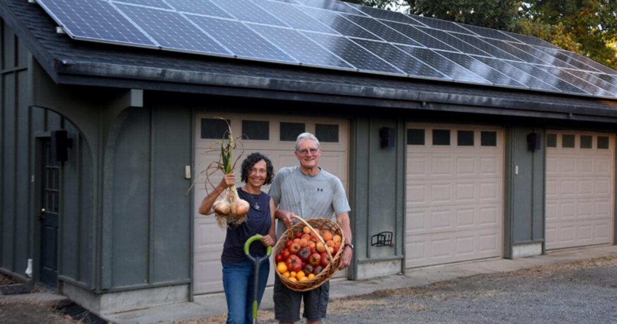 AIM2Flourish | Solarizing the Future