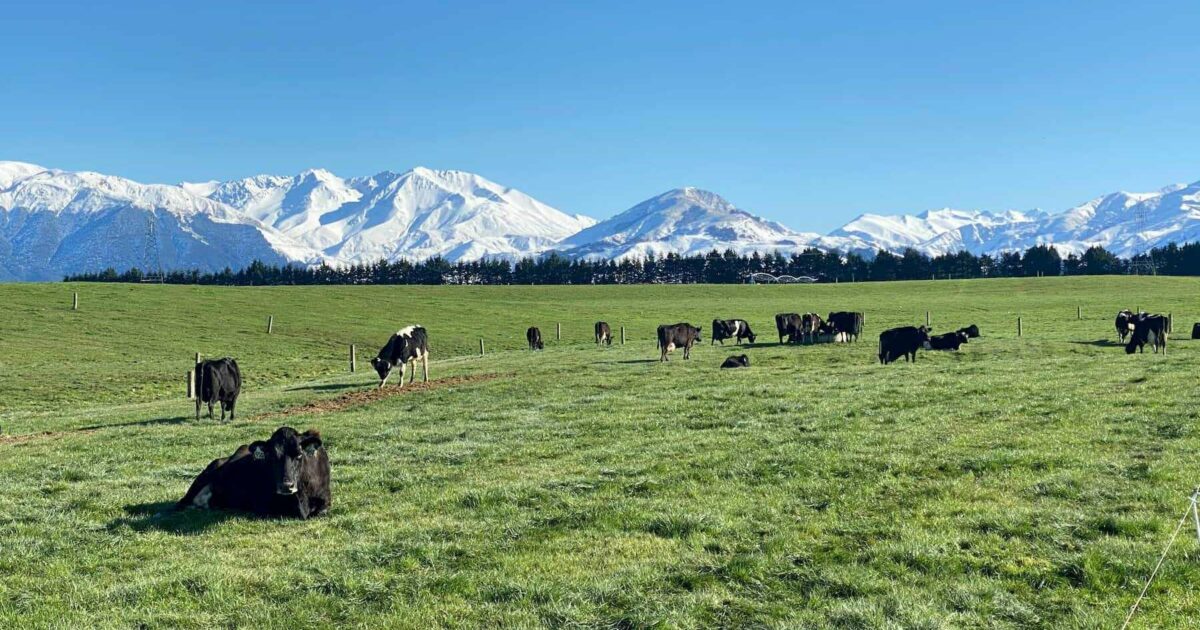 AIM2Flourish | The Farm of Eden