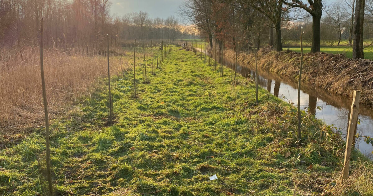 AIM2Flourish | Sustainable Remediation of Soil and Ground Water