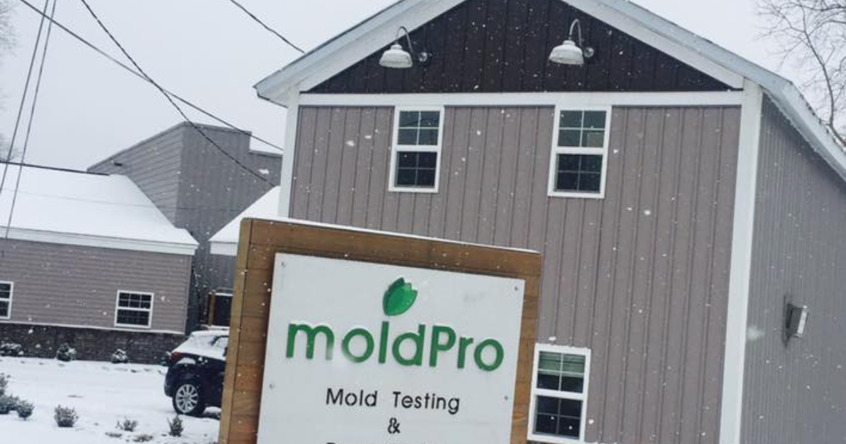 AIM2Flourish | Leaders In Clean Mold Remediation