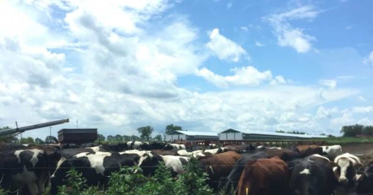 AIM2Flourish | Organic Michigan Farming