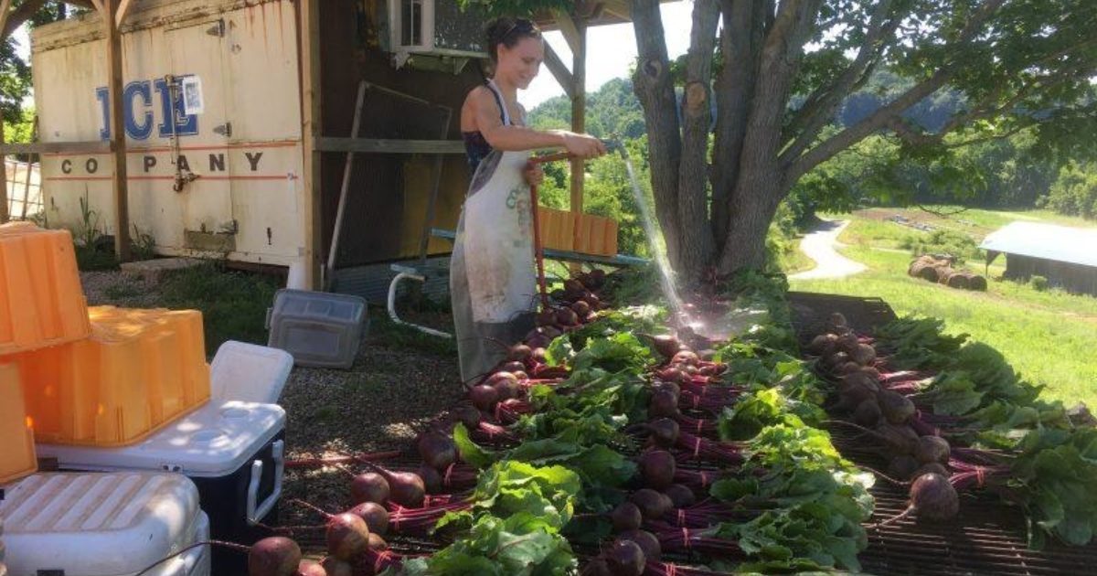 AIM2Flourish | Economically and Environmentally Friendly Year-round…