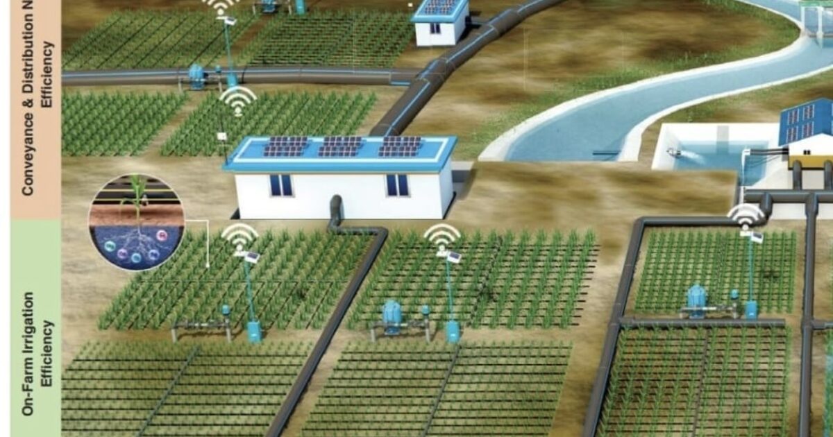 AIM2Flourish | Beyond Buckets: The Drip Tech Making Waves