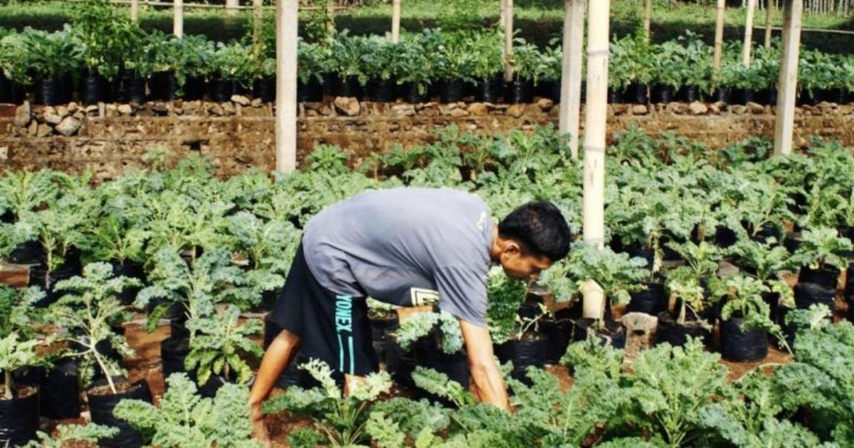 AIM2Flourish | Improving Farmers' Livelihood Through Healthy Lives…