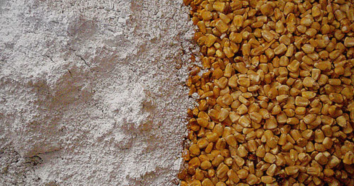 AIM2Flourish | Saving Water Through Nejayote