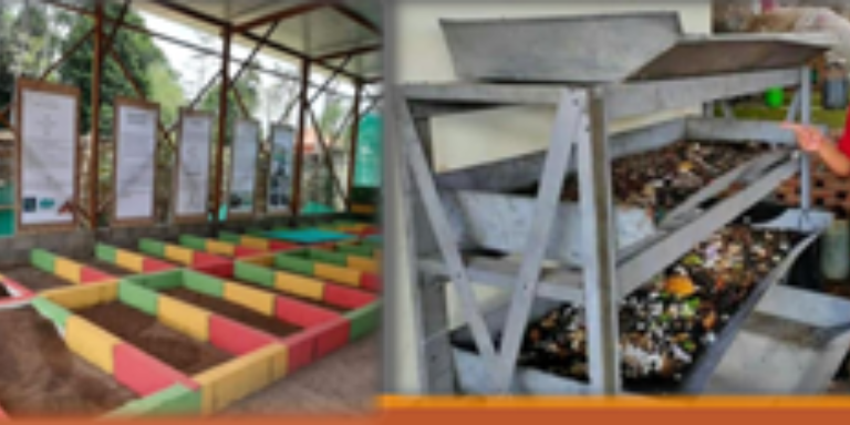 AIM2Flourish | The Circular Economy of Waste Processing using Maggots