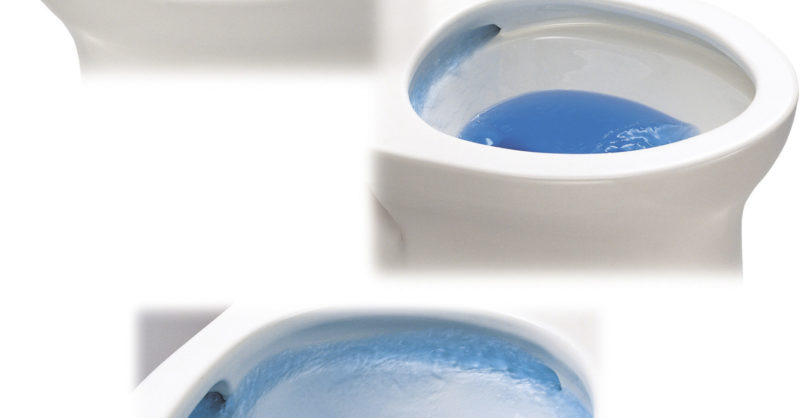 double cyclone flush