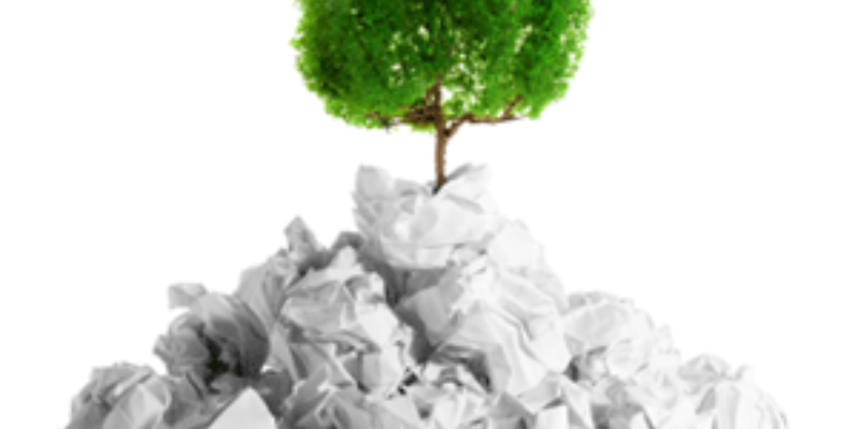 AIM2Flourish | Save a Tree, Go Paperless